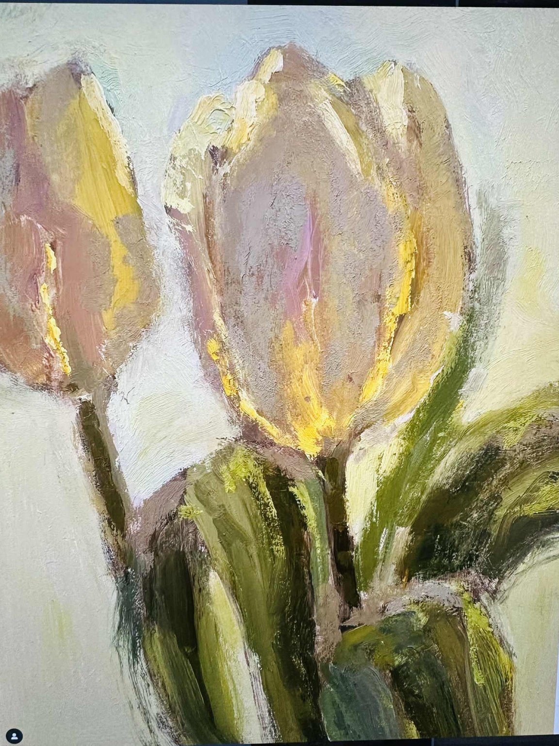 The Tulips - Sunday Rose and Co